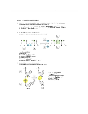 Membrane Fluidity Worksheet BIO - MEMBRANE FLUIDITY WORKSHEET BIO 181 ...