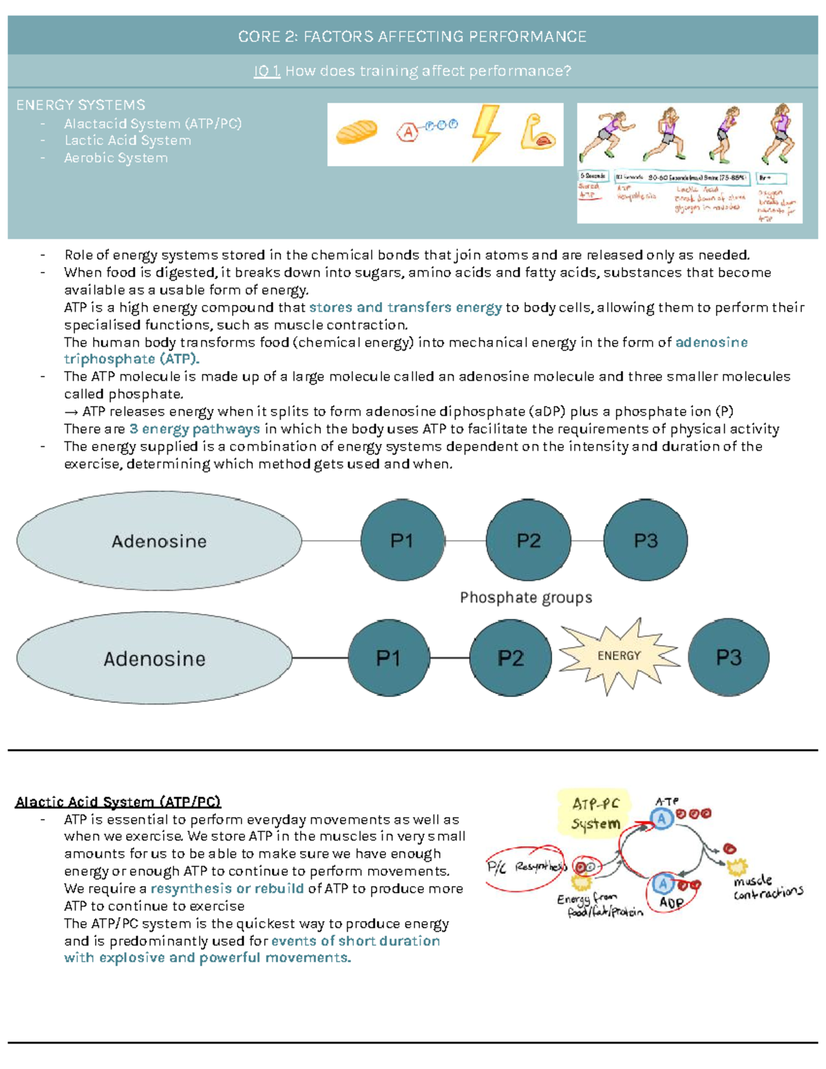 Pdhpe core 2 study notes - CORE 2: FACTORS AFFECTING PERFORMANCE IQ 1 ...