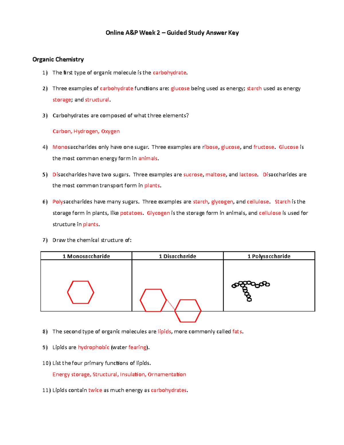 Week 2 Study Guide Key - Online A&P Week 2 – Guided Study Answer Key ...