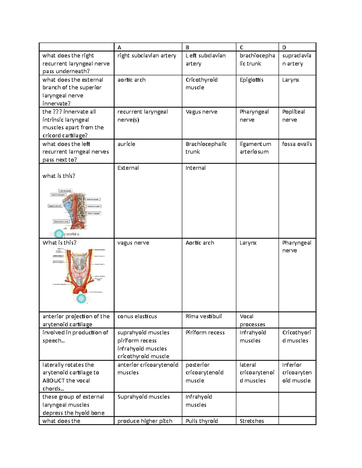 The larynx qs - Summary of said topic - A B C D what does the right ...
