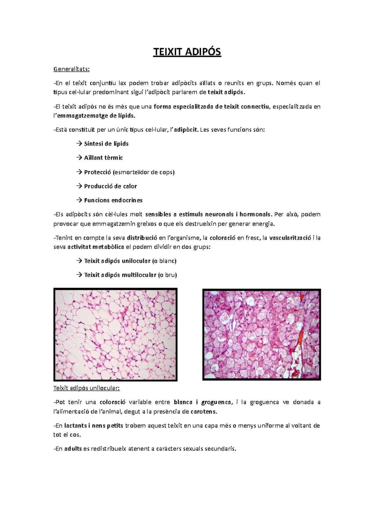 Histologia animal T.4 (Teixit adipós) - TEIXIT ADIPÓS Generalitats: -En ...