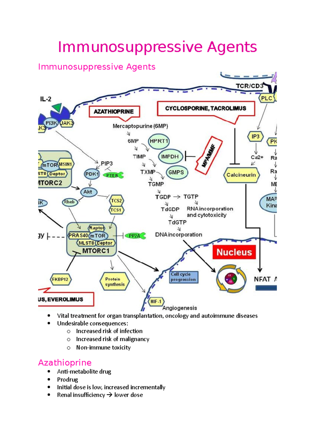 Immunosuppressive Agents - Immunosuppressive Agents Immunosuppressive ...