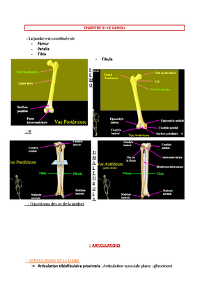 TD1 Anatomie 2021 2022 - Cours pratique - PLANS ET AXES ANATOMIQUES a ...