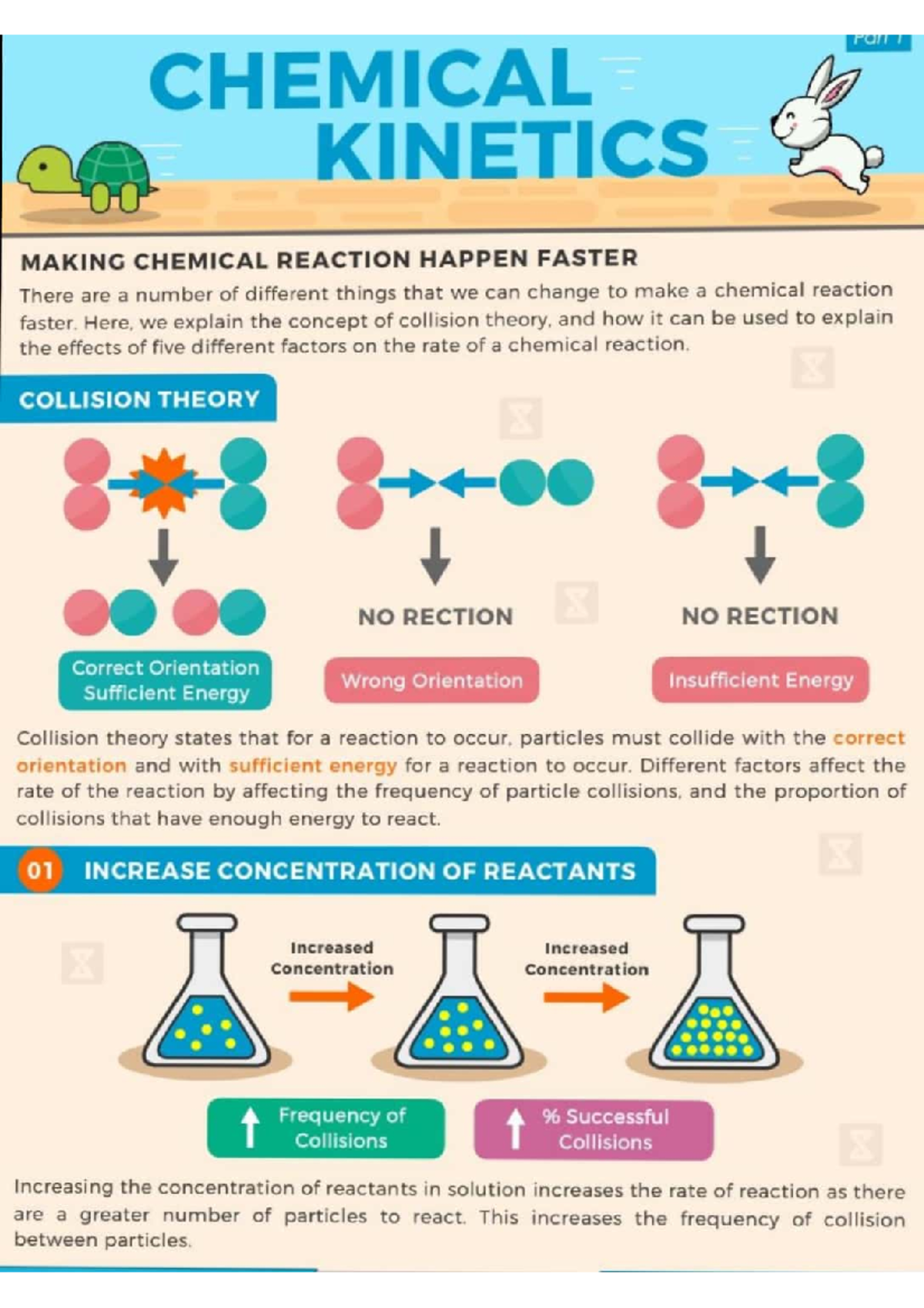 Chemical Kinetics FC - BSc Chemistry - Studocu