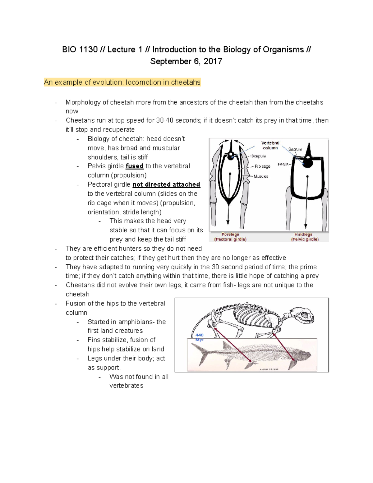 BIO1130 Lecture 1 - Dr. Chapleau - BIO 1130 // Lecture 1 ...