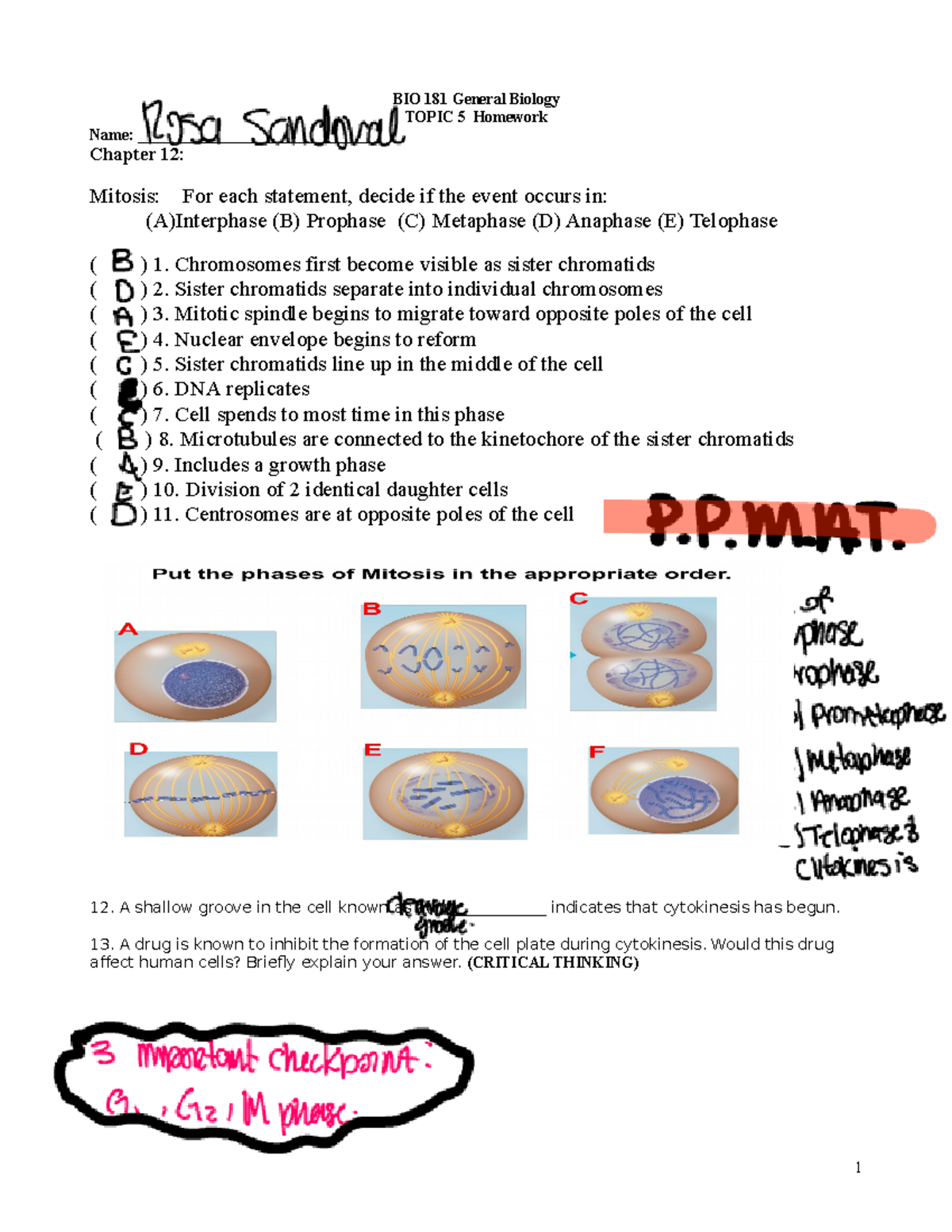 Week 9-HW - Chapter 12-13rosasanndoval - BIO 181 General Biology TOPIC ...