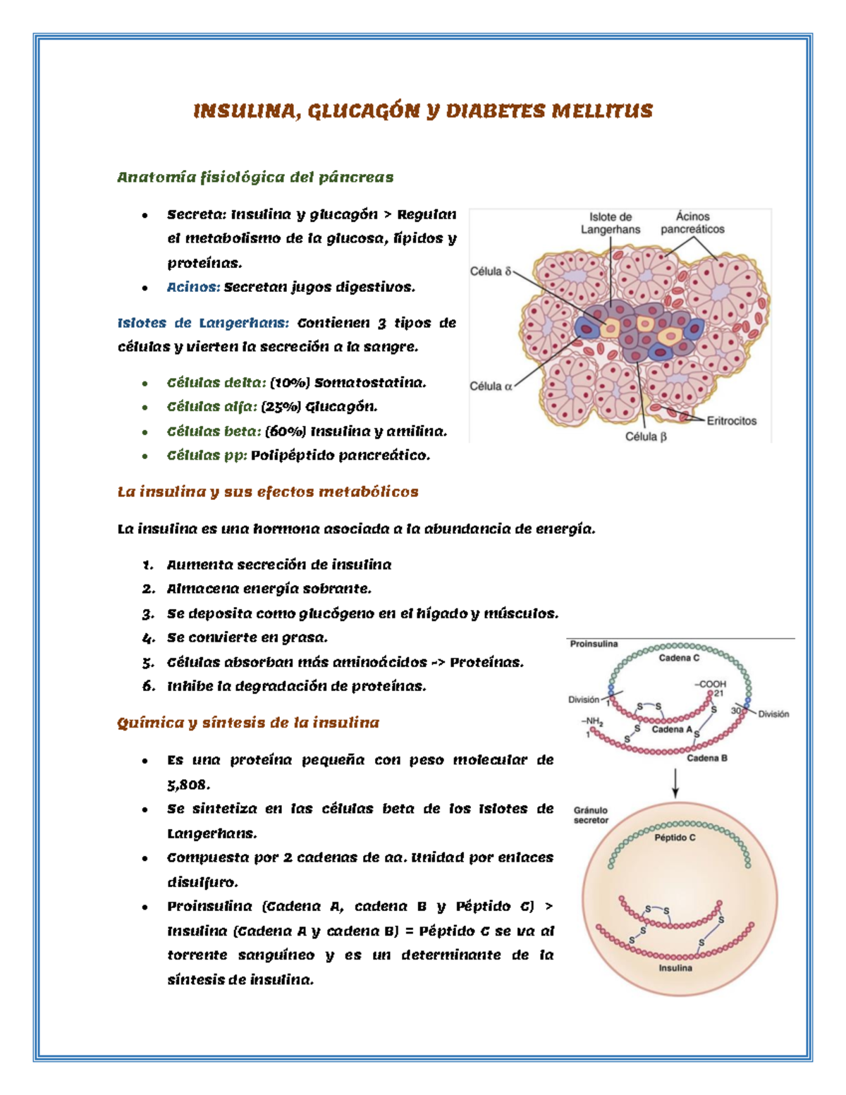 Insulina, glucagón y diabetes mellitus - INSULINA, GLUCAGÓN Y DIABETES ...