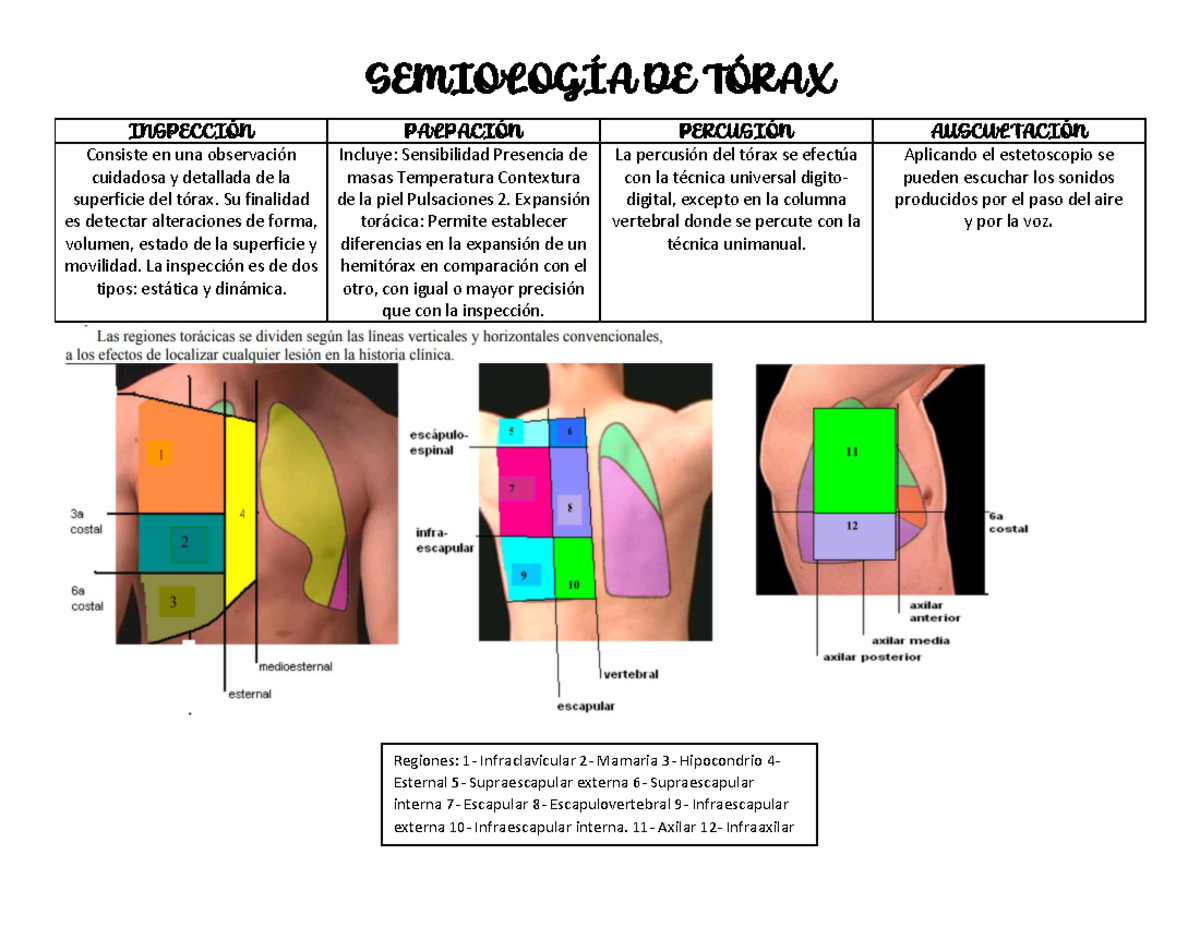 Inspección DE Torax - SEMIOLOGÍA DE TÓRAX INSPECCIÓN PALPACIÓN ...