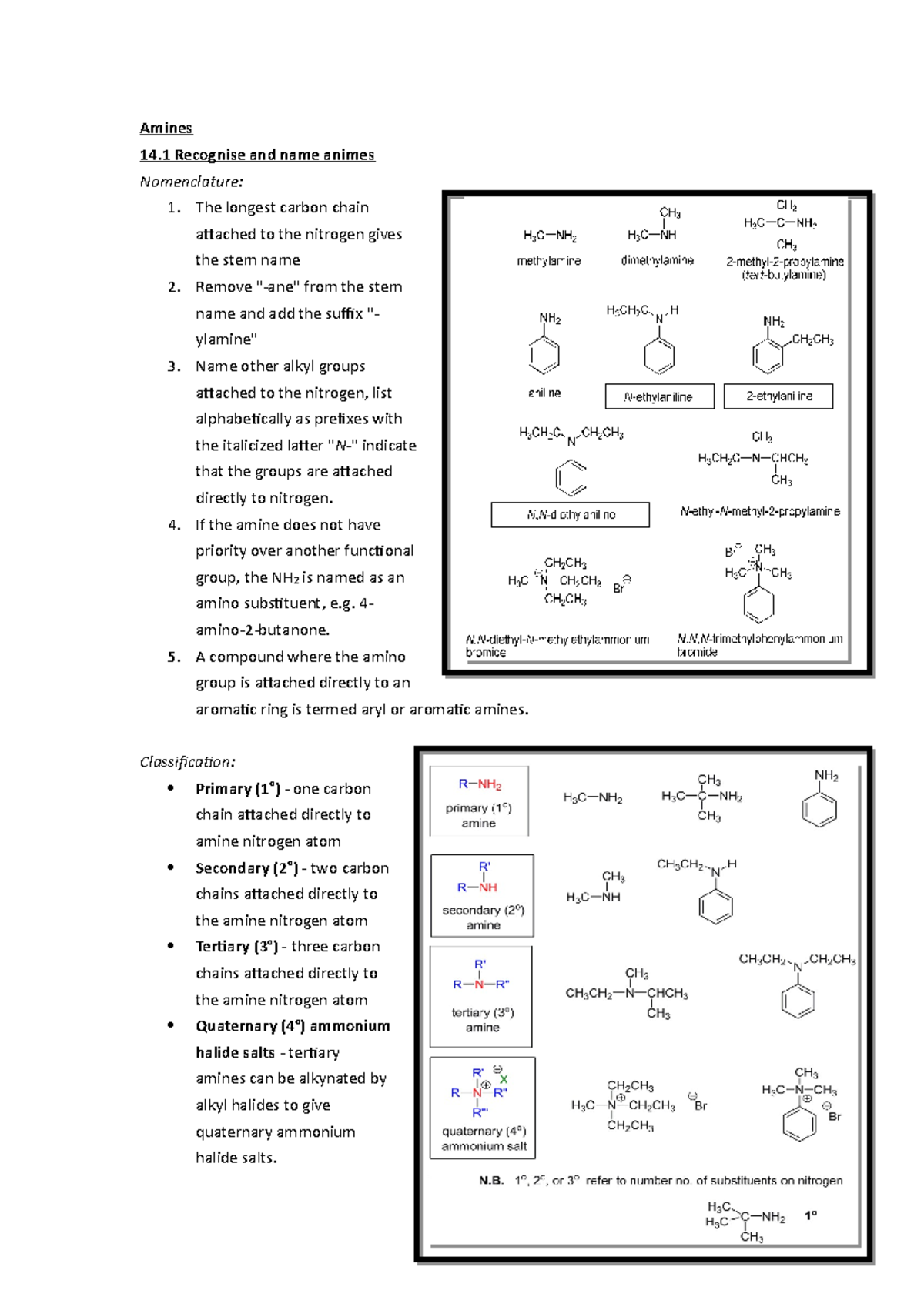 Lecture notes from Organic Chemistry - Amines 14 Recognise and name ...