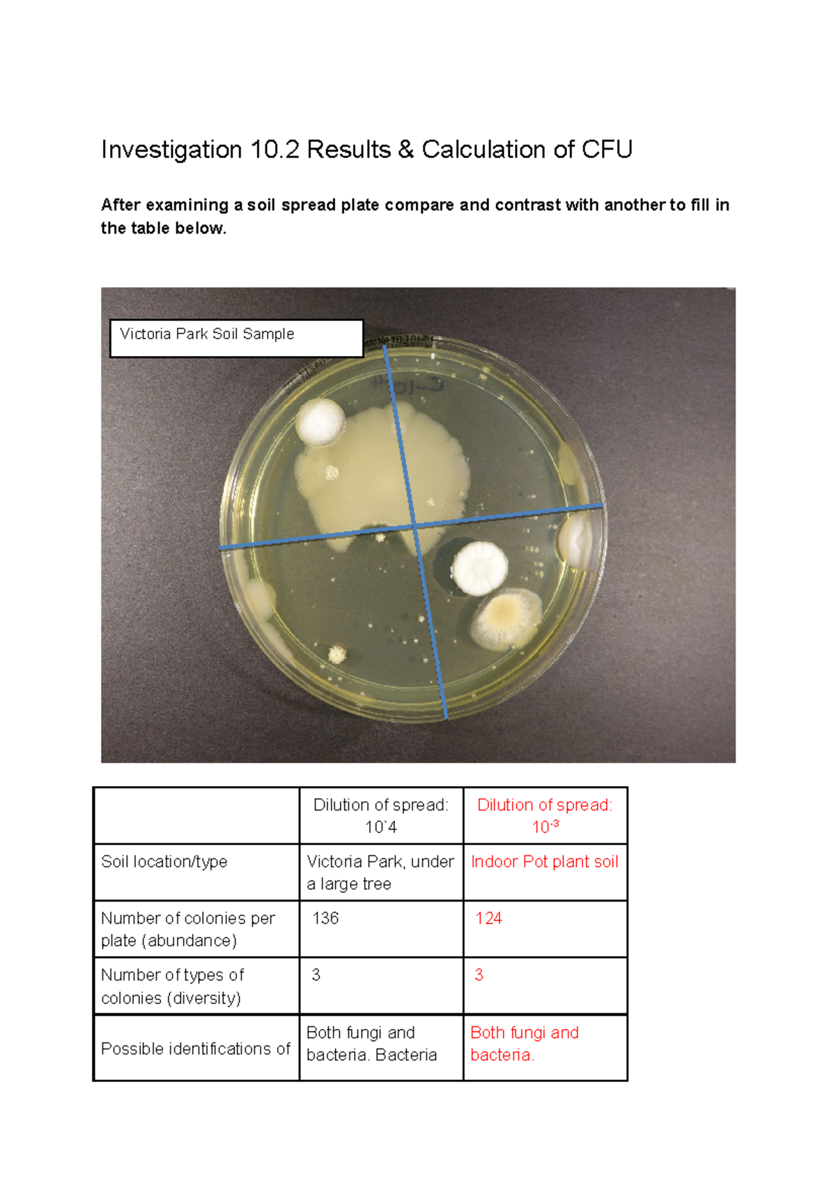 Investigation 10 - Investigation 10 Results & Calculation of CFU After ...