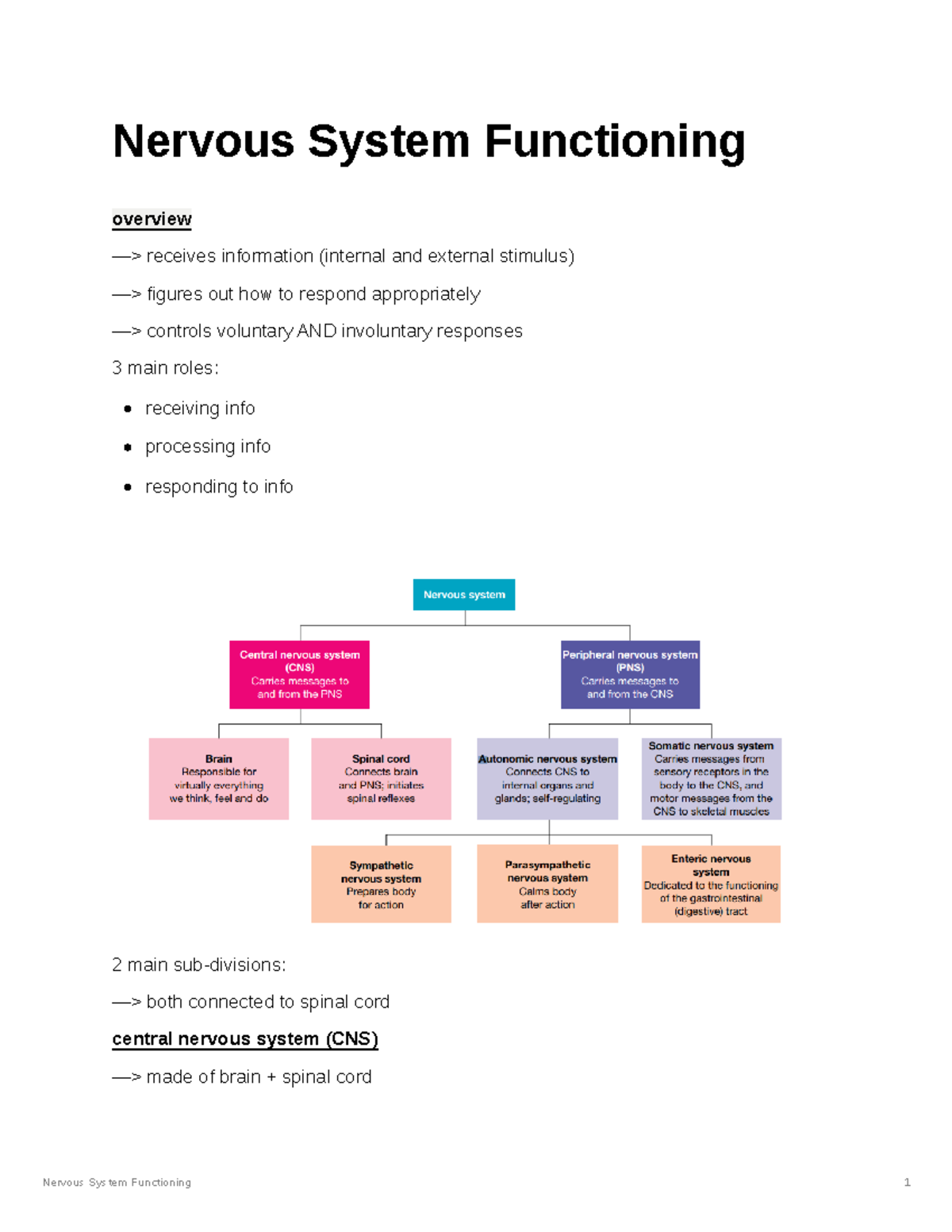 All Notes- Psychology 3/4 - Nervous System Functioning overview ...