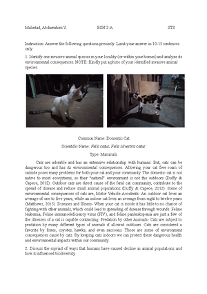 ARTS6 Q3 Module 3 - Basic Photography - Arts Quarter 3 – Module 3 ...