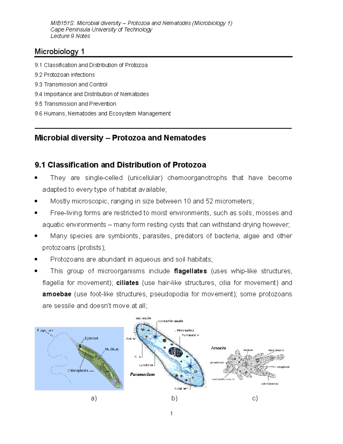 Microbiology 1 Lecture 09 (Microbial diversity – Protozoa and Nematodes ...