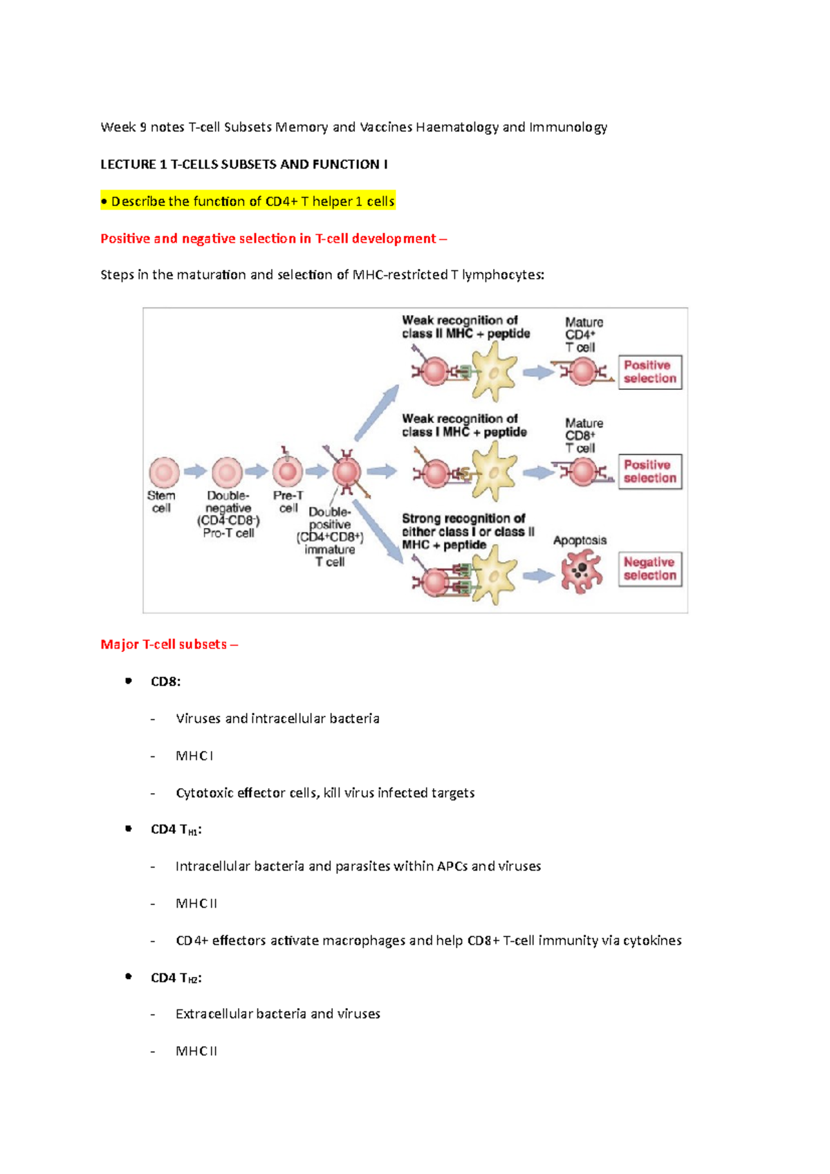 Week 9 notes T-cell Subsets Memory and Vaccines Haematology and ...