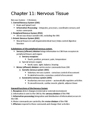 EOCR- Exercise 38 - for class - Review Sheet: Exercise 38 Anatomy of ...