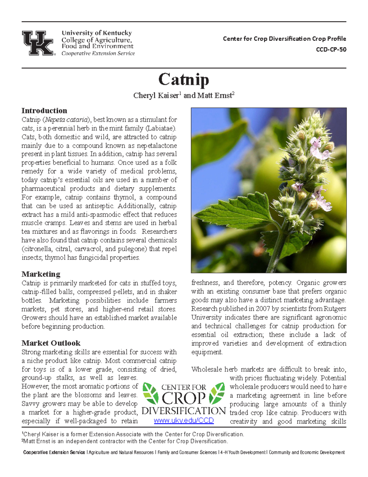Catnip plants - Introduction Catnip (Nepeta cataria), best known as a stimulant for cats, is a ...