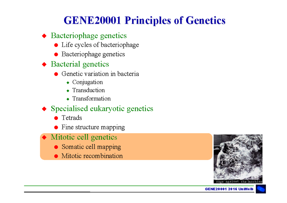 GENE2000 1-L12-1 - GENE20001 Principles of Genetics Bacteriophage ...