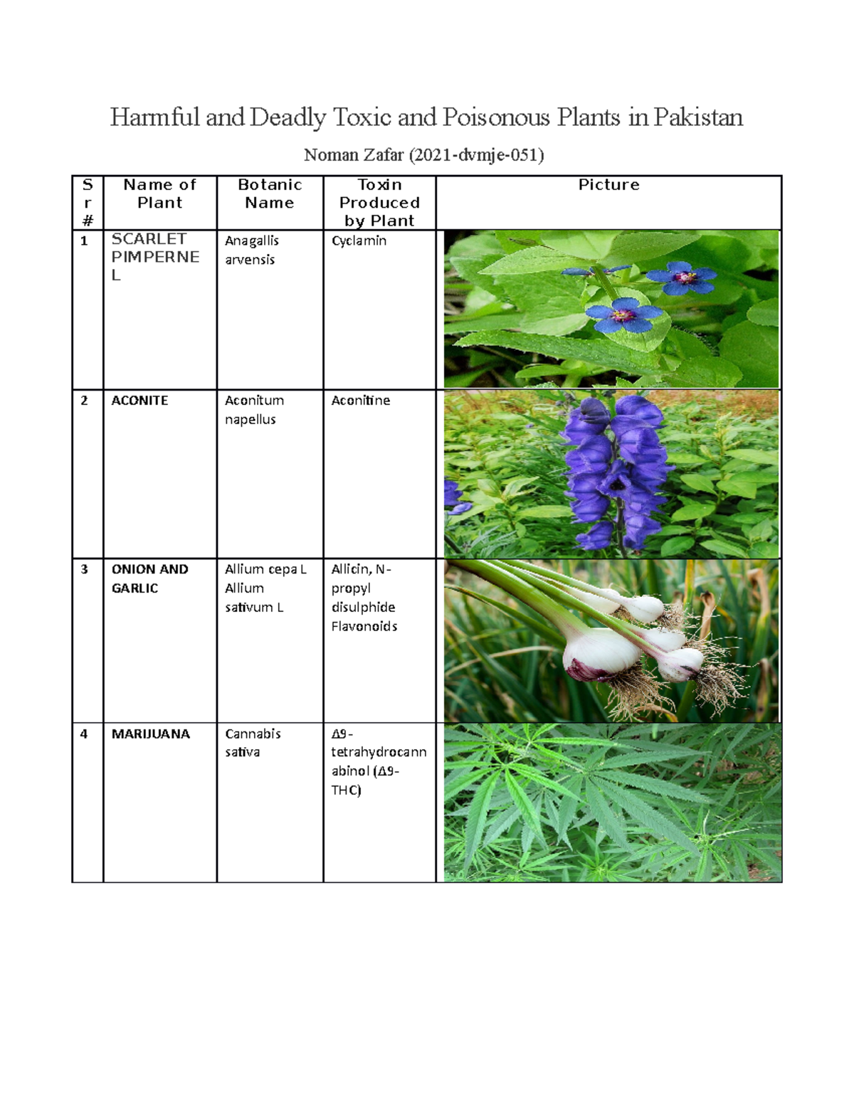 Harmful and Deadly Toxic and Poisonous Plants in Pakistan - Studocu