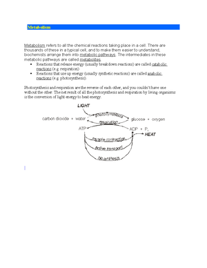 CAPE Caribbean Studies Syllabus - CARIBBEAN EXAMINATIONS COUNCIL ...