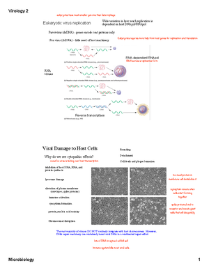 10Micro Genetics - description - Altering Gene Expression in a Ever ...
