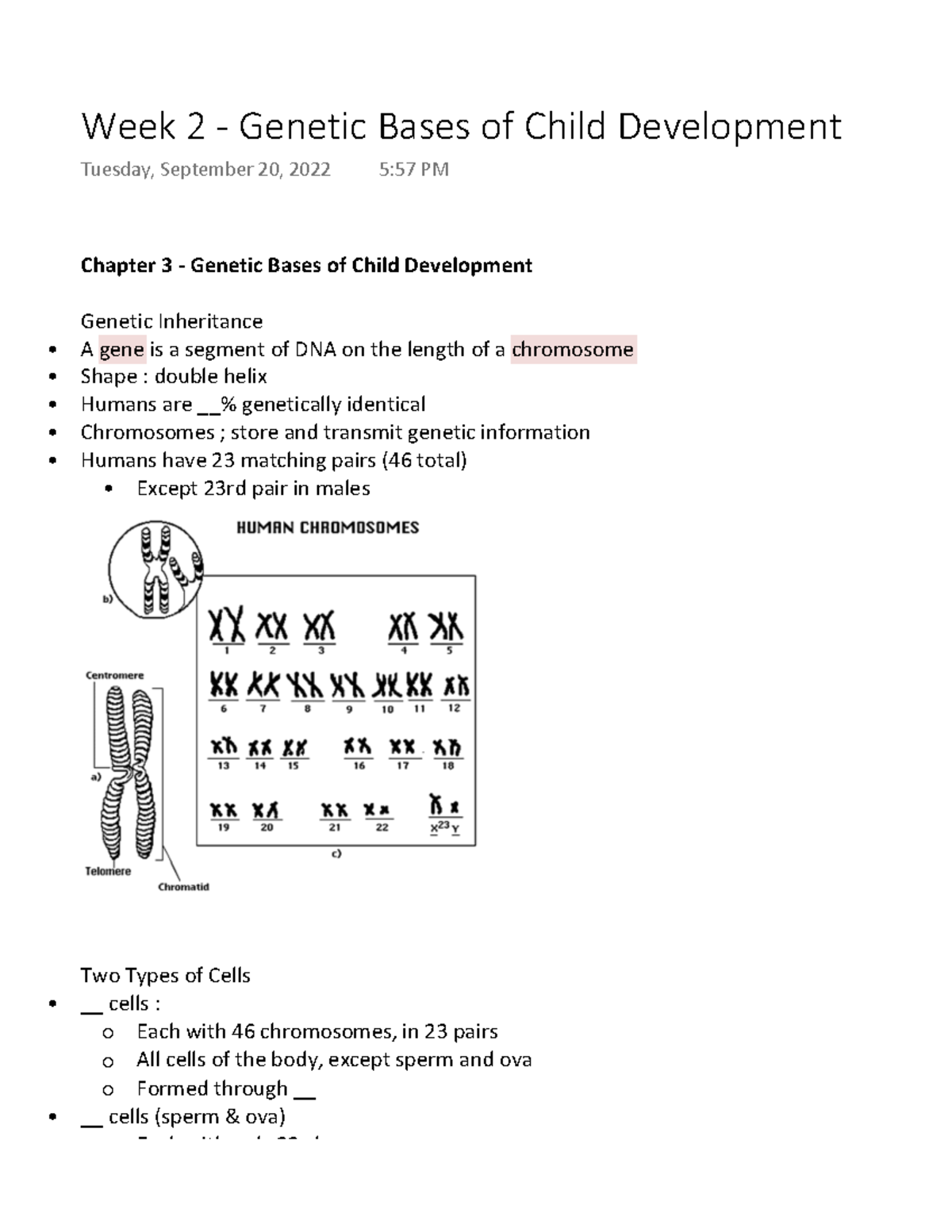 Week 2 - Genetic Bases of Child Development - Chapter 3 - Genetic Bases ...