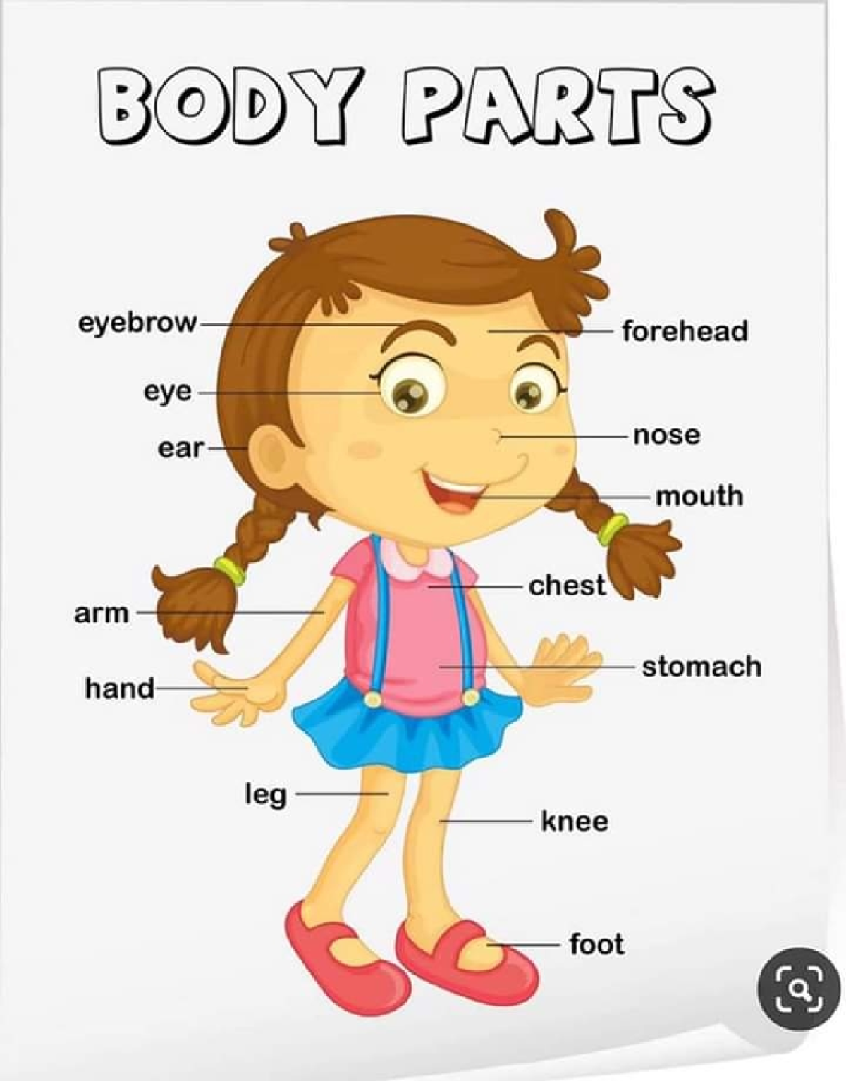 Body Parts - sdhgfgf - BODY PARTS eyebrow forehead eye nose ear mouth ...