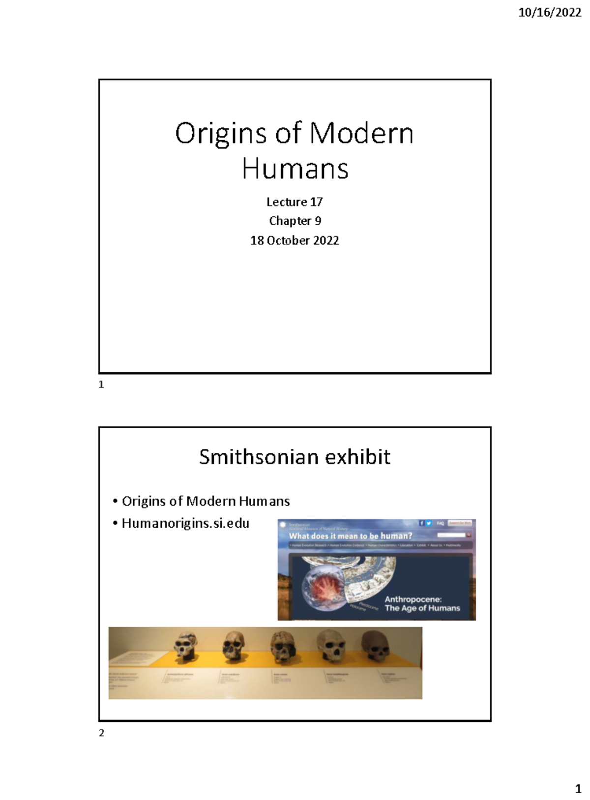 Lecture 17 - Origins of Modern Humans - Origins of Modern Humans ...