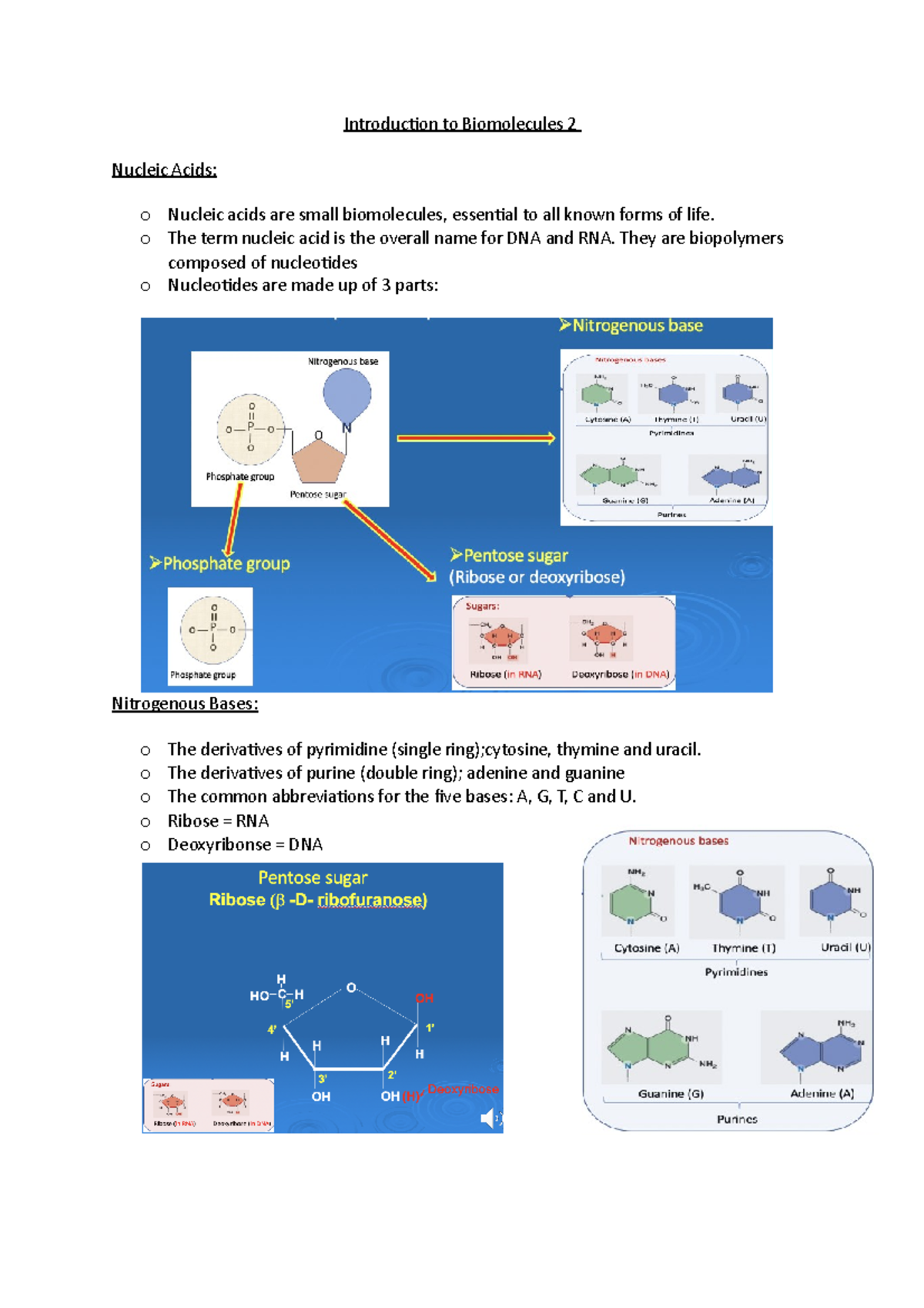 Introduction to Biomolecules 2 - o The term nucleic acid is the overall ...