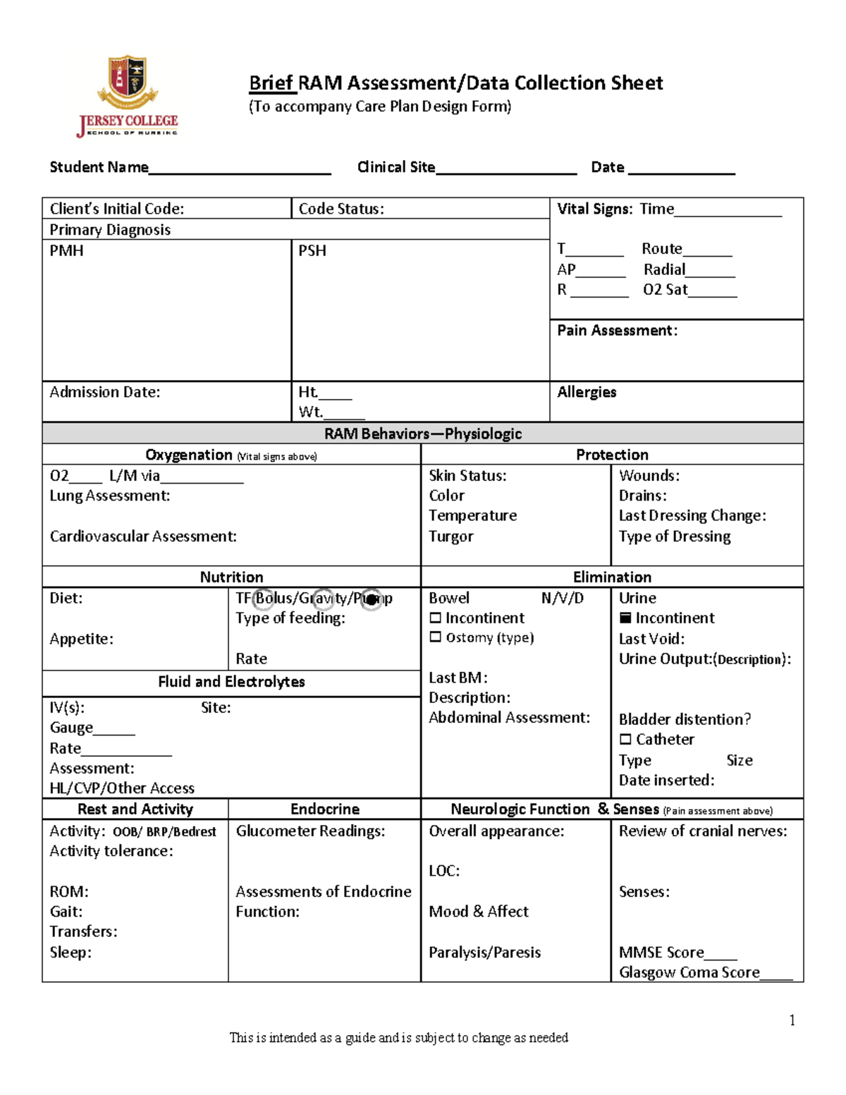Handout Blank RAM and care plan 2020 - 1 This is intended as a guide ...