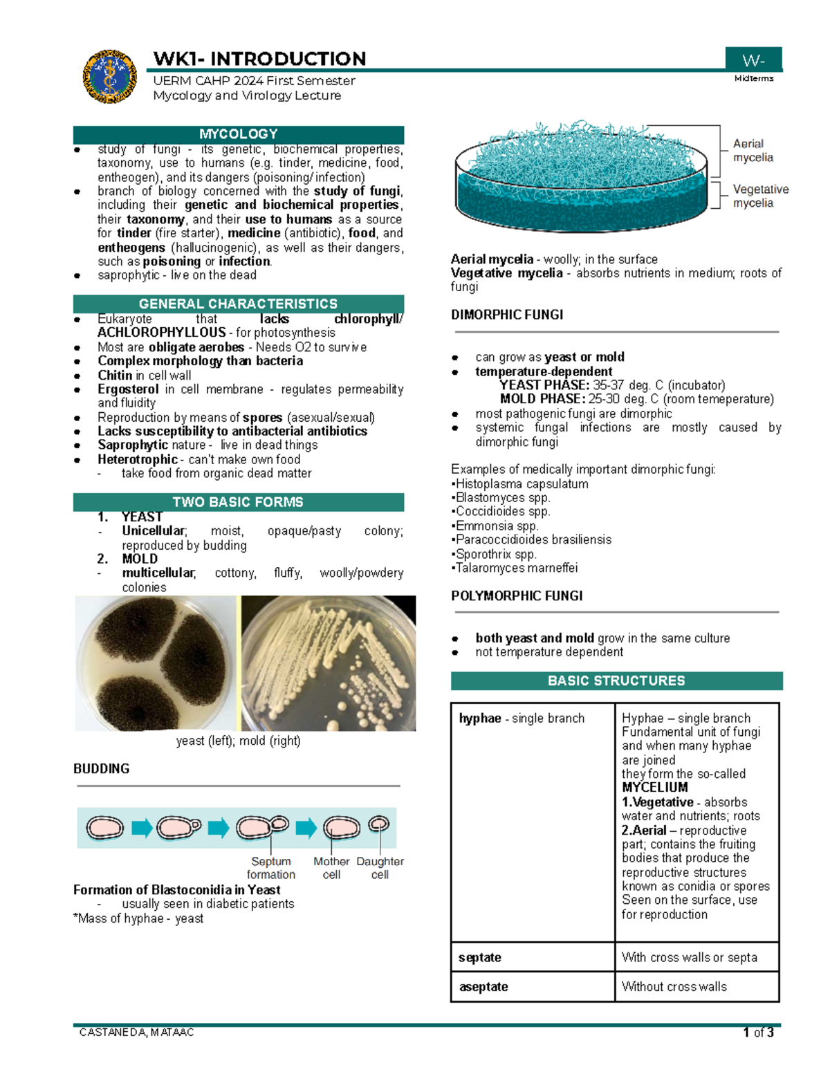 Mycoviro WK1 - Medtech - WK1- INTRODUCTION W- UERM CAHP 2024 First ...