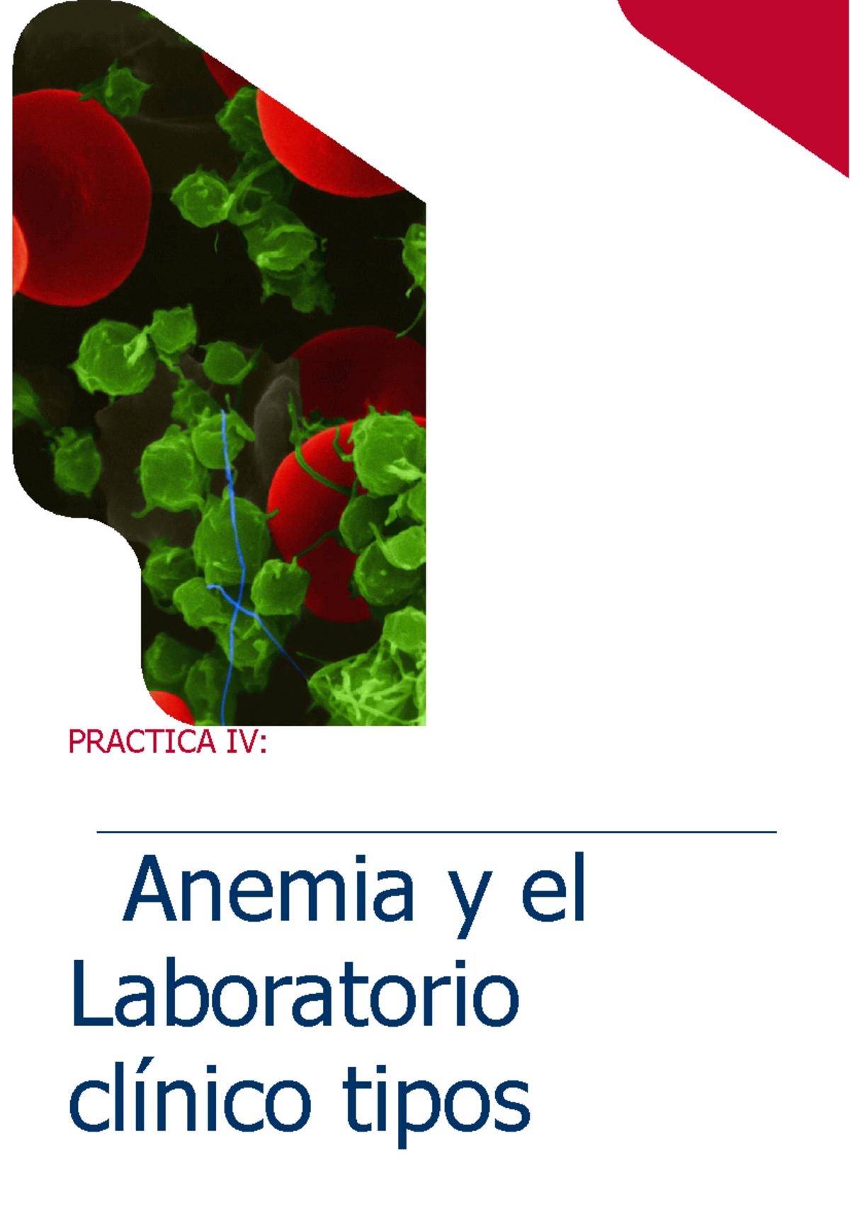 Informe 02- Laboratorio clinico - PRACTICA IV: Anemia y el Laboratorio ...