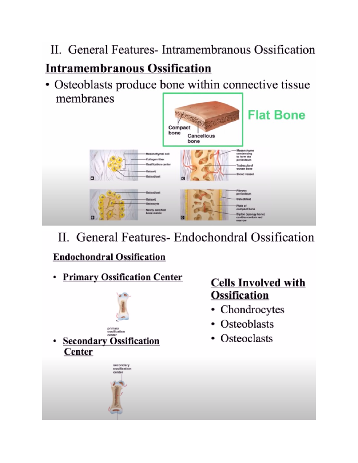Osteogenesis - I tried to compile the information I found useful into ...