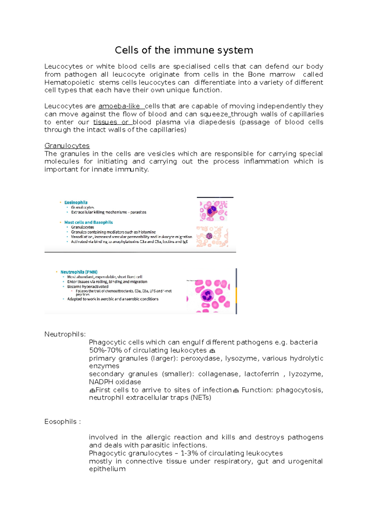 Cells of the immune system - Cells of the immune system Leucocytes or ...