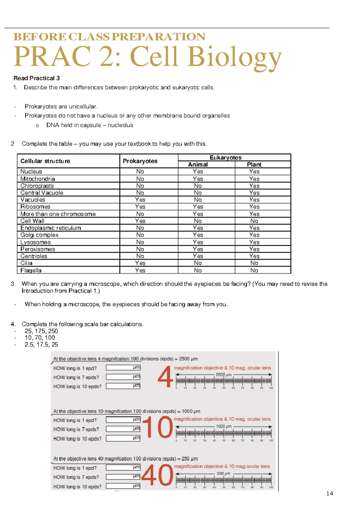 Prac 2 Microscopy Here You Go Biol1020 Uq Studocu