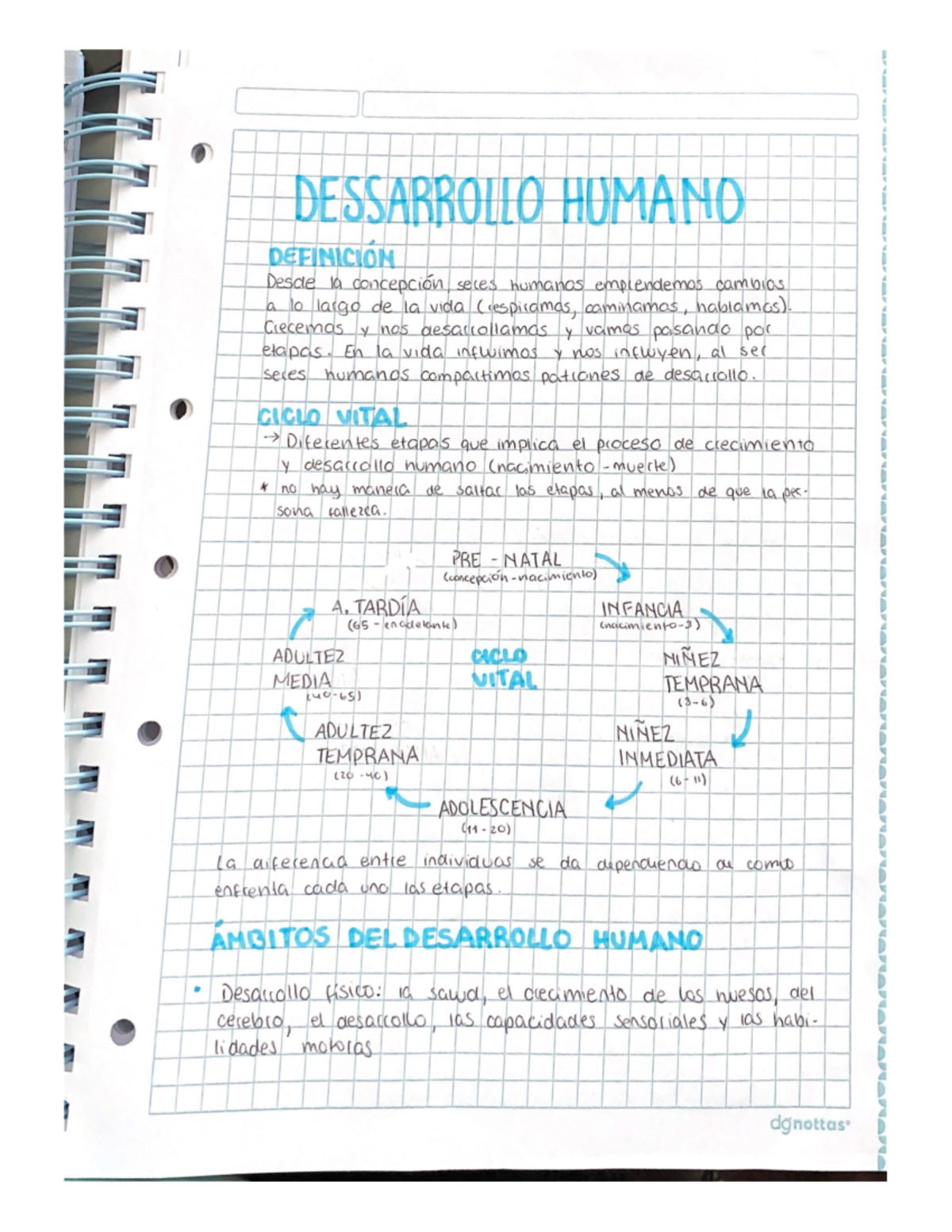 Desarrollo Humano - DESSARROLLO HUMANO DEFINICION Desde la concepcion ...