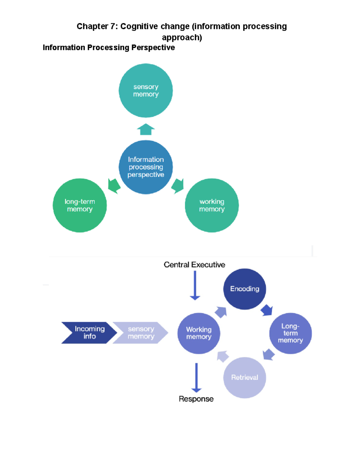 Chapter 7 Cognitive change (information processing approach) - Chapter 7: Cognitive change - Studocu