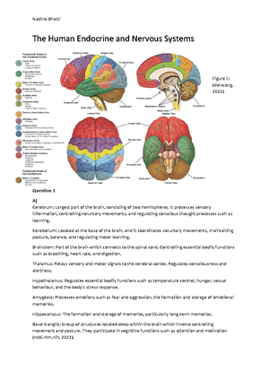 Unit 20- Human Disease and Prevention - Question 1a: Diseases are ...