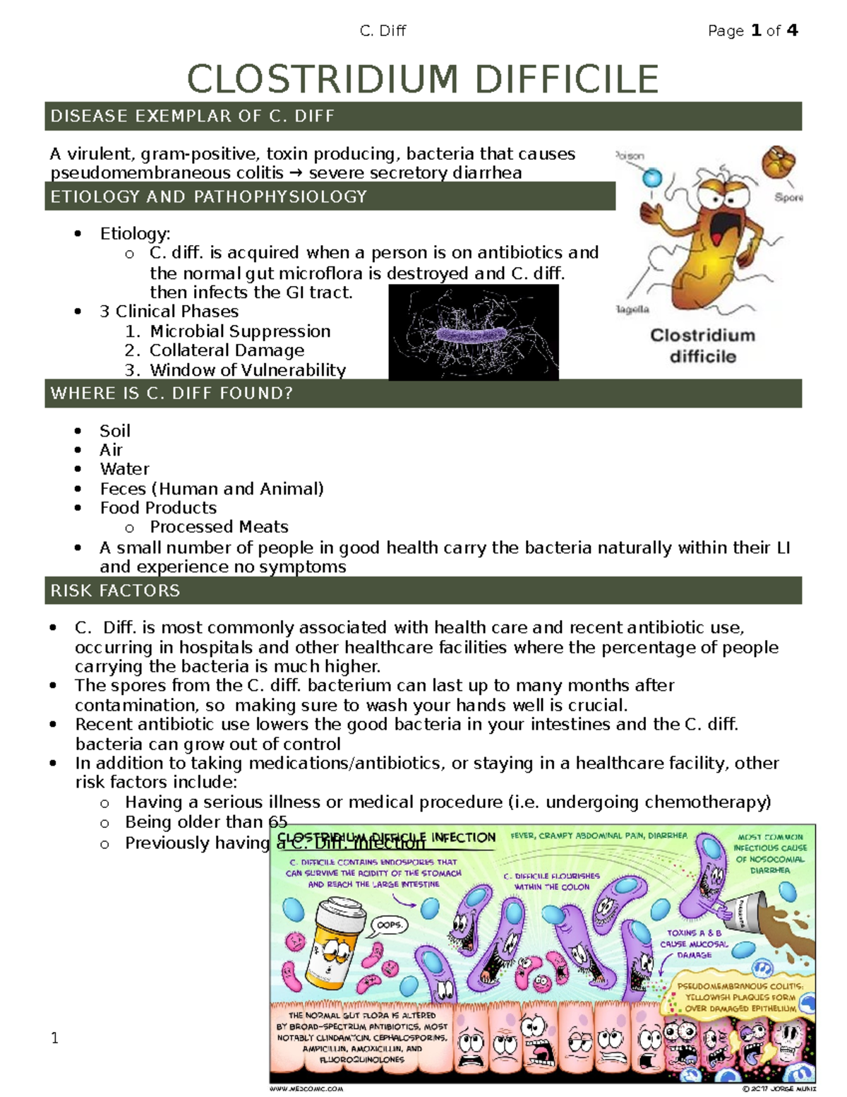 Clostridium Difficile - CLOSTRIDIUM DIFFICILE DISEASE EXEMPLAR OF C ...