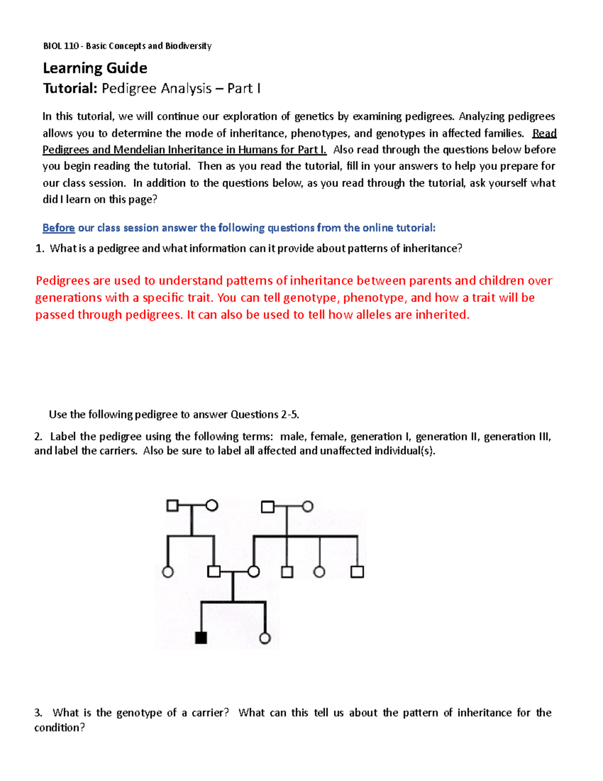 Learning Guide for Tutorial #14 Part I Bio 110 - BIOL 110 - Basic ...