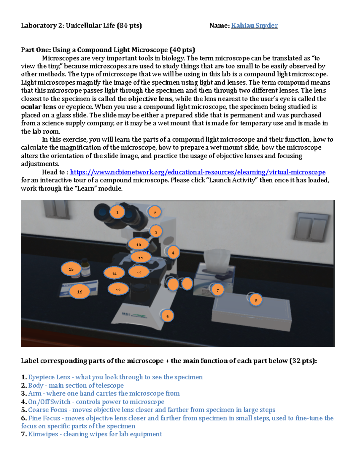 Lab 4 Cell Structure Function Laboratory 2 Unicellular Life 84