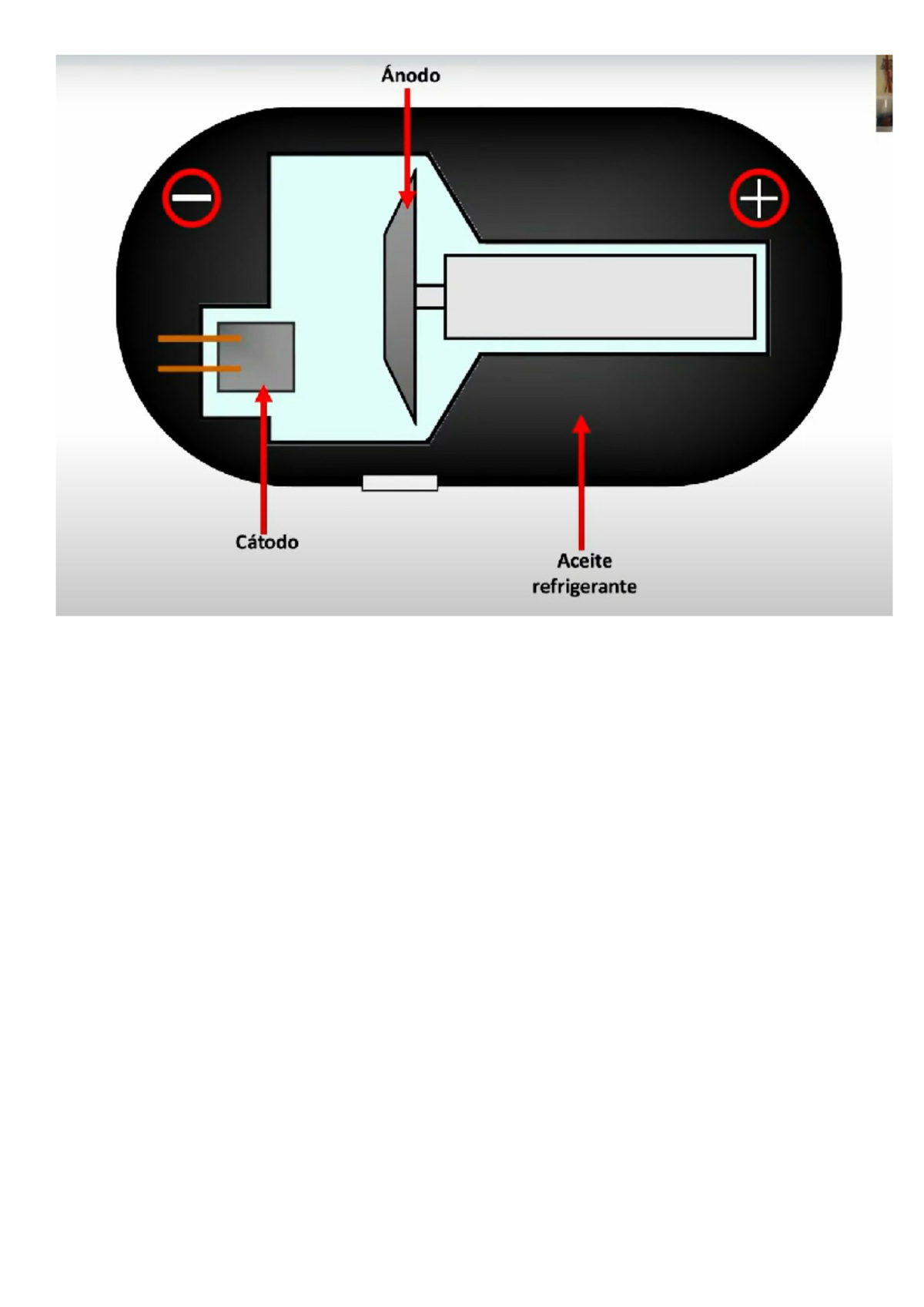 Anodo Y Catodo - Radiologia - Anatomía - Studocu