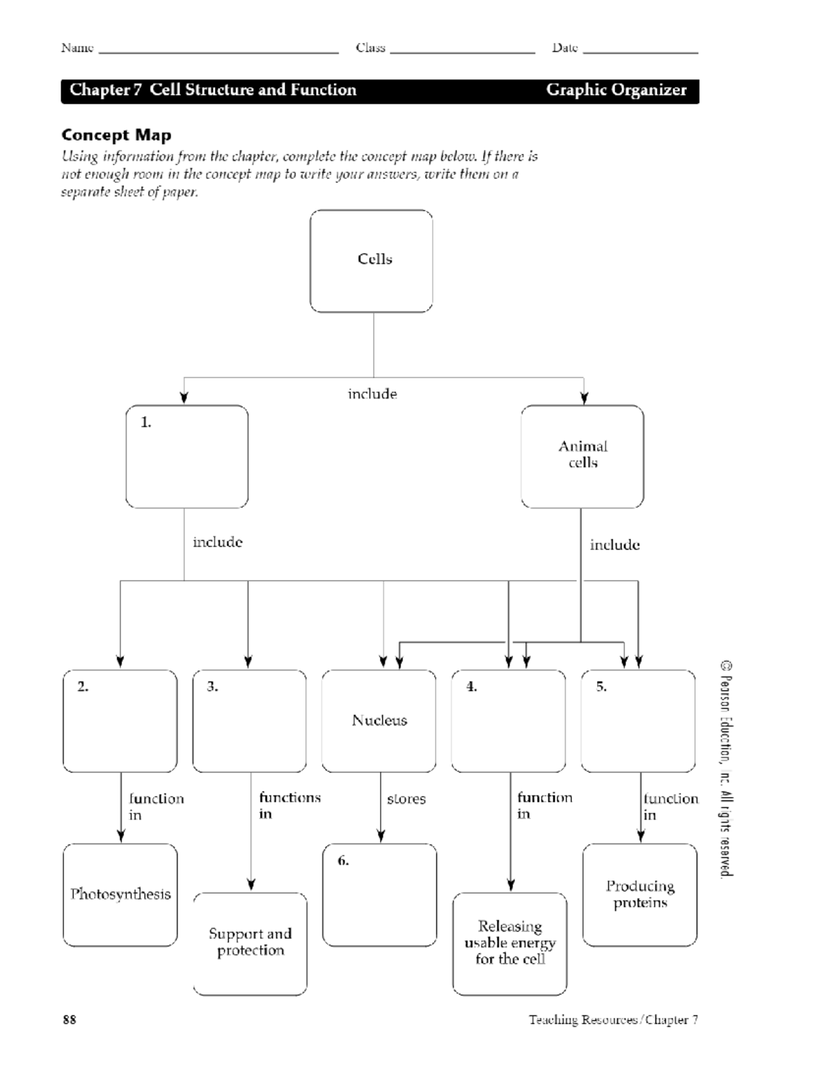 Chapter 7 Cell Structure And Function Answer Key TeresaSaaim