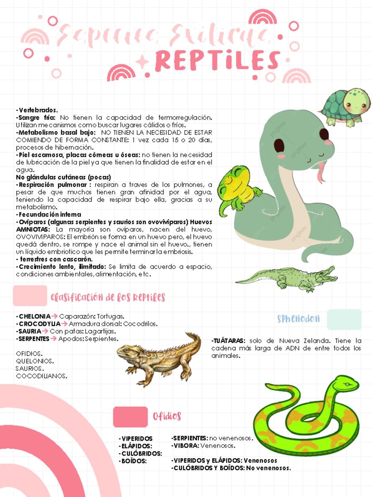 Apuntes lindos de reptiles -Vertebrados. -Sangre fría: No tienen la ...