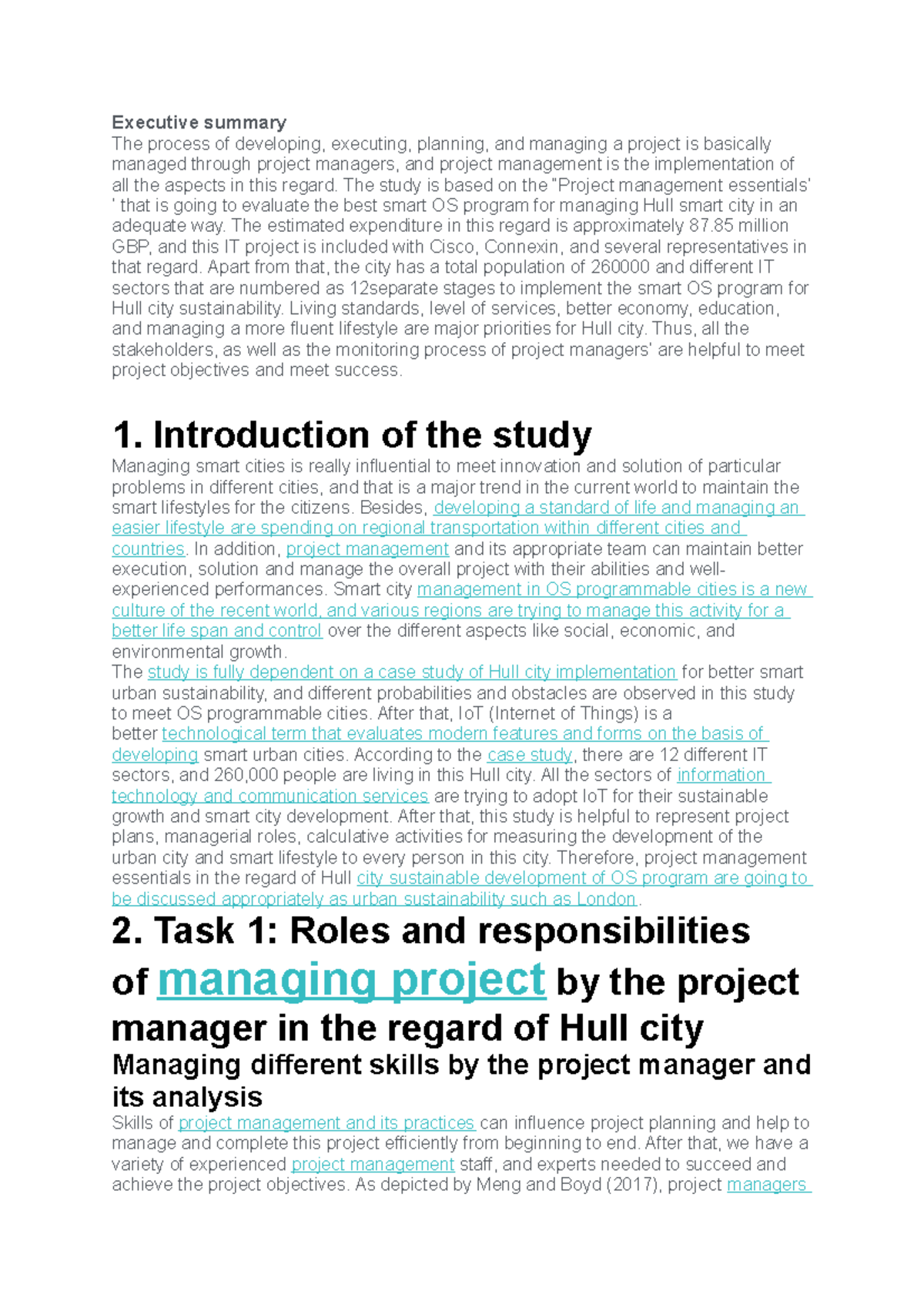 Summentive work - report - Executive summary The process of developing, executing, planning, and ...