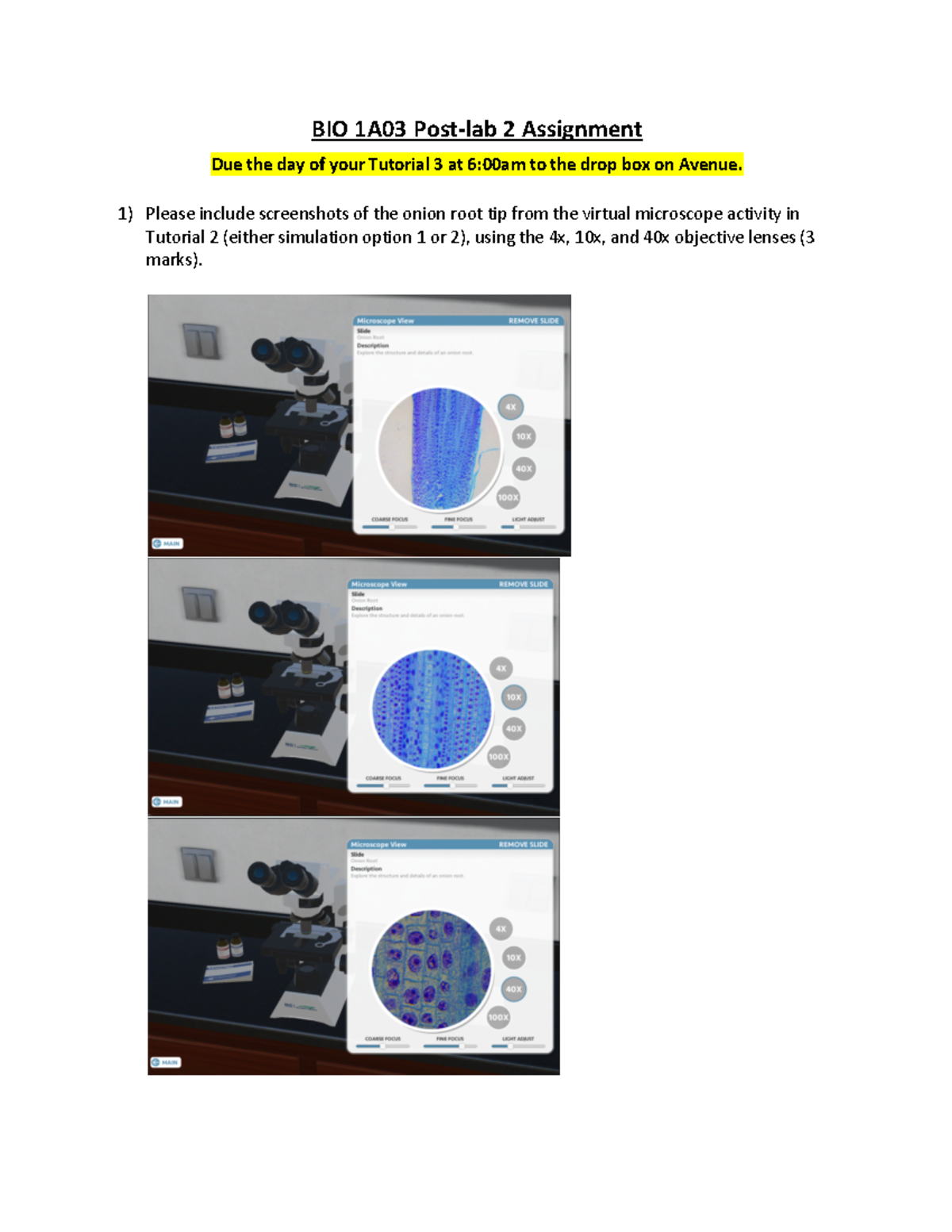 Post Lab 2 Assignment F2022 Bio 1a03 Post Lab 2 Assignment Due The