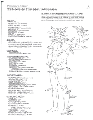 Coloring diagrams - anatomic planes sections - biology - Studocu