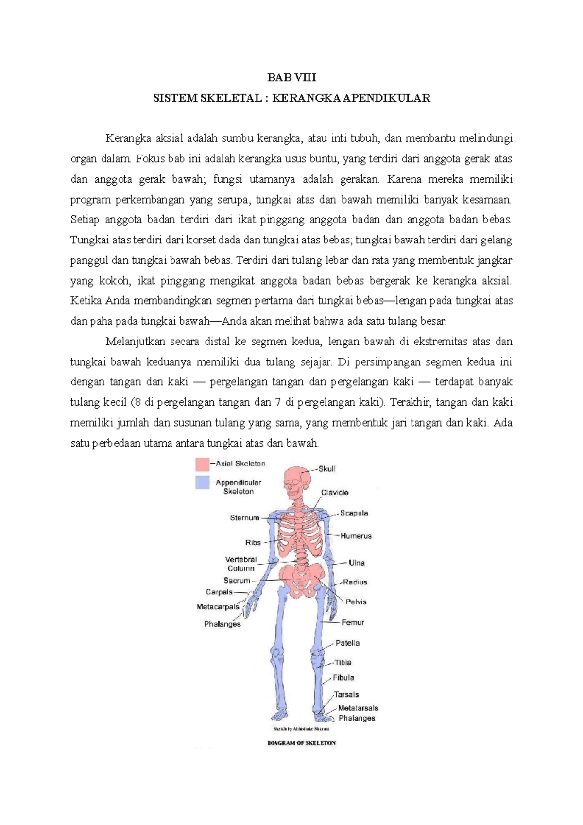 Anatomi Kedokteran - Sistem Rangka Apendikular - BAB VIII SISTEM SKELETAL : KERANGKA APENDIKULAR ...