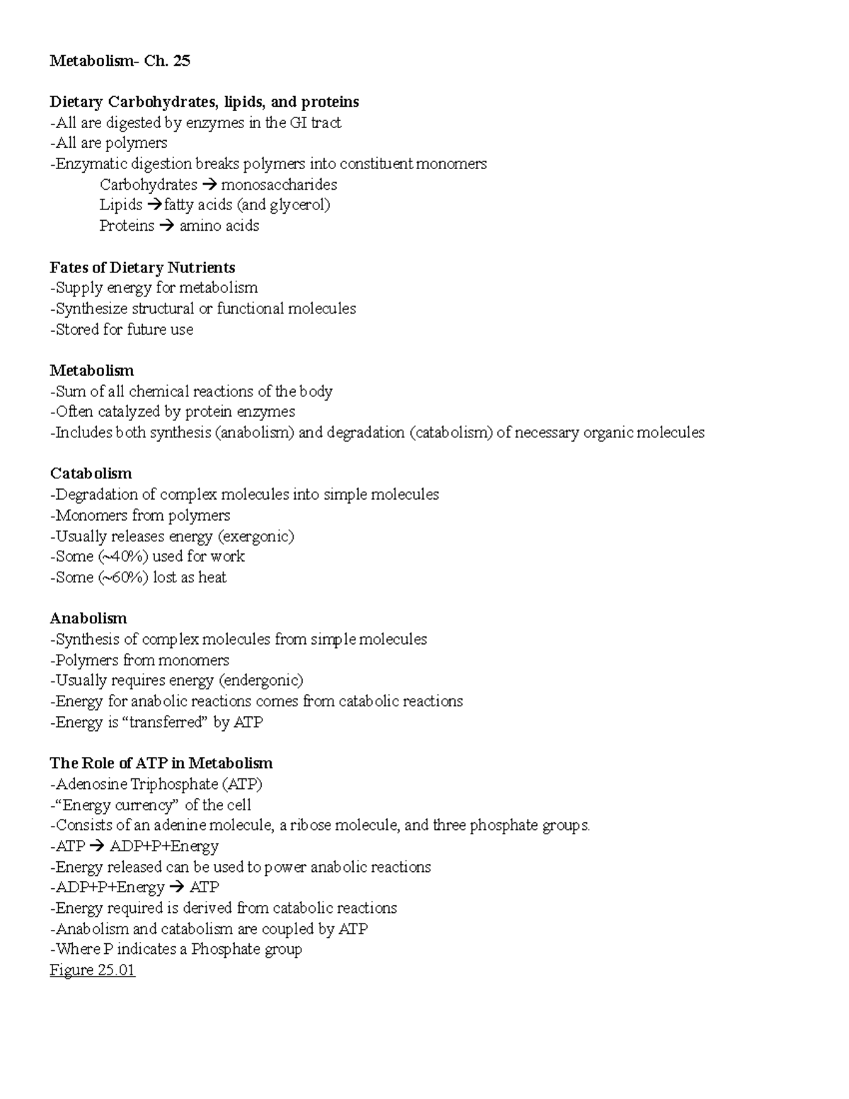 Metabolism CH. 25 - Lecture notes 1 - Ch. 25 Dietary Carbohydrates ...