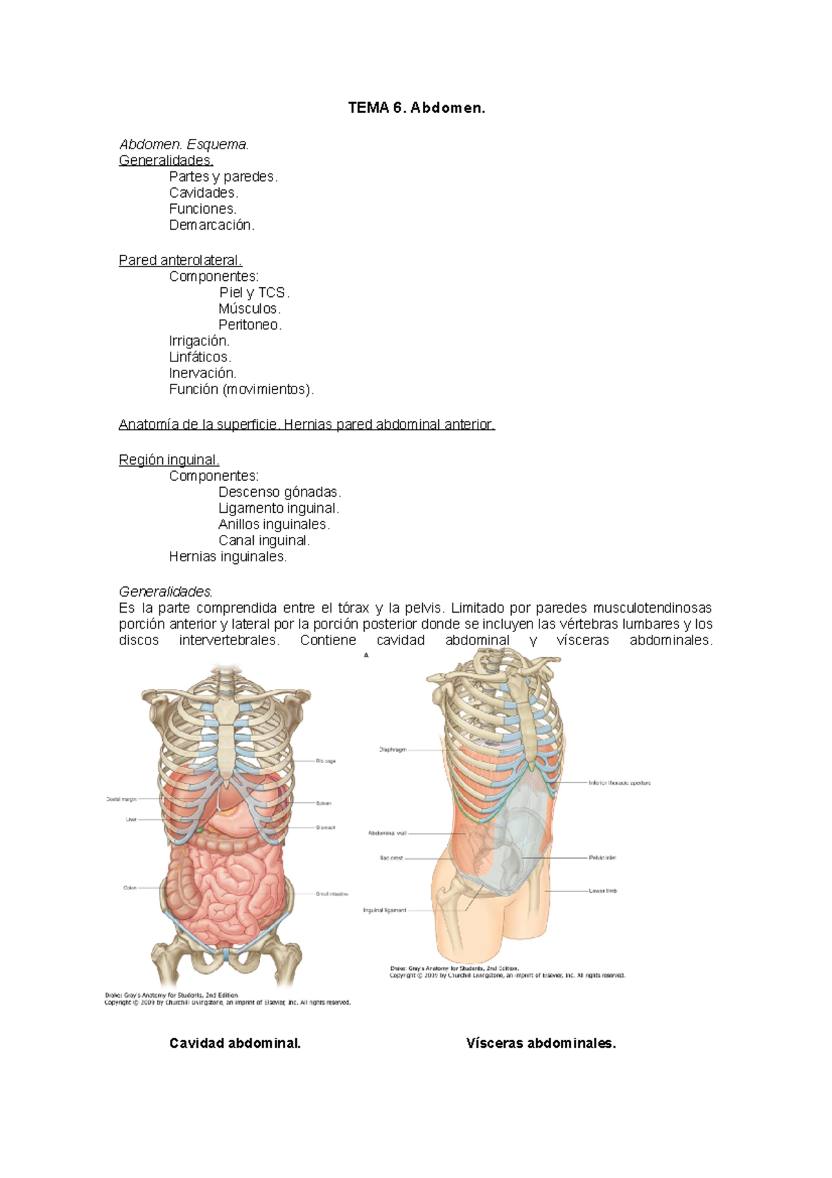 Abdomen - TEMA 6. Abdomen. Abdomen. Esquema. Generalidades. Partes y ...