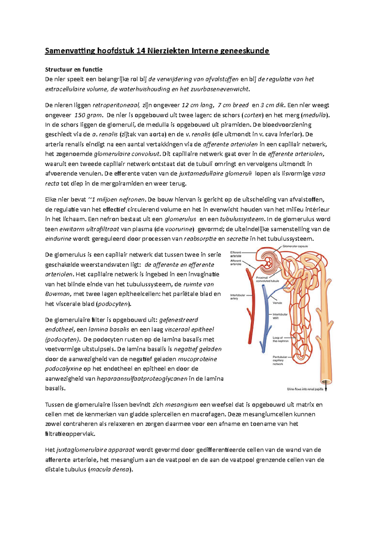 Samenvatting Interne Geneeskunde - Hoofdstuk 14 - Samenvatting hoofdstuk 14 Nierziekten Interne ...
